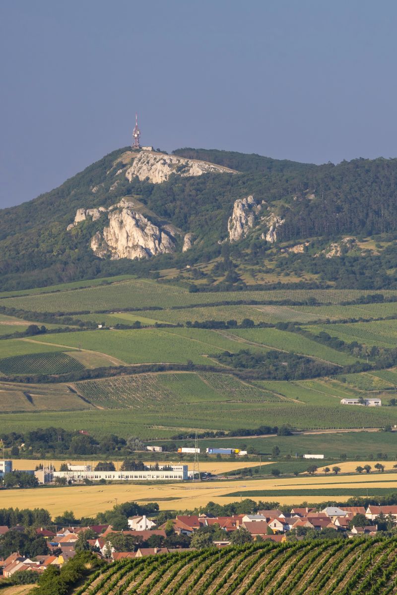 Pálava: 16 tipů, kam na výlet na Pálavě a co vidět v okolí - LIVE IT UP